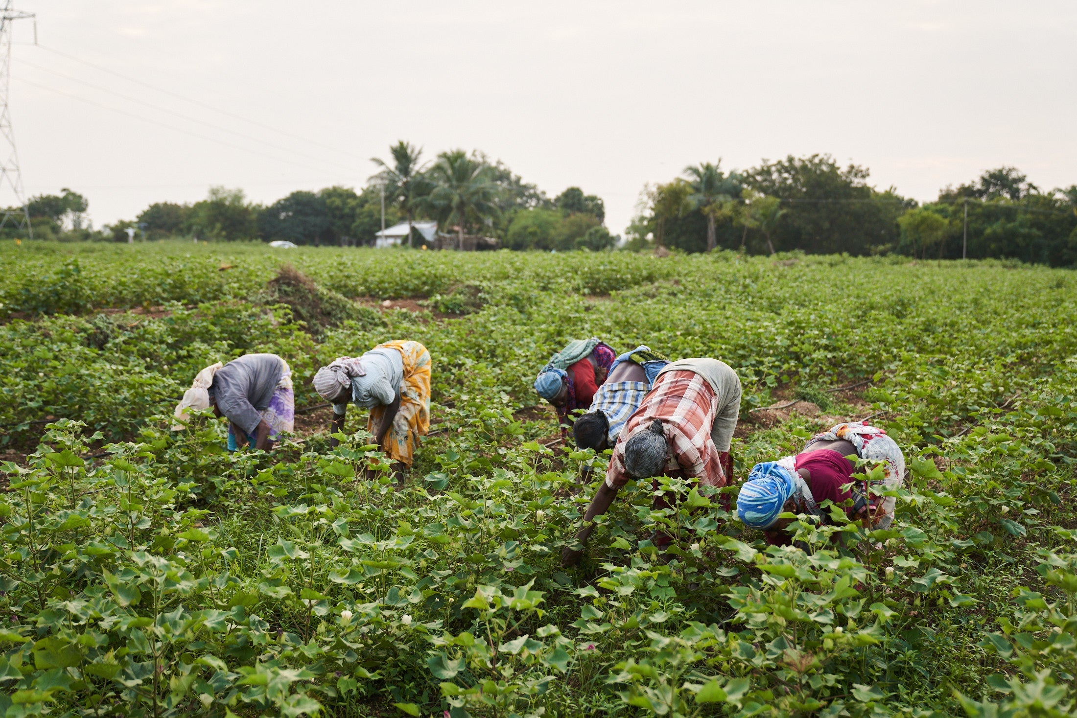 Why Oshadi Chooses Actual Relationships Over Certifications – OSHADI